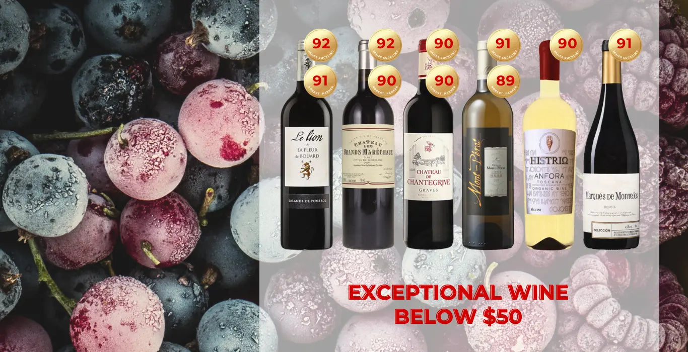 Exceptional Quality Wines Below $50 - Delicate Wines SG – DELICATE Wines SG